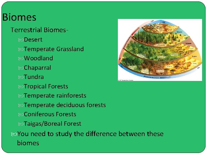 Terrestrial Ecology Part Two Biogeochemical Cycles Biomes Succession