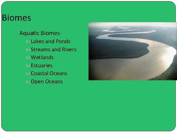 Terrestrial Ecology Part Two Biogeochemical Cycles Biomes Succession
