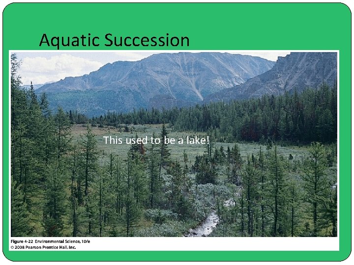 Terrestrial Ecology Part Two Biogeochemical Cycles Biomes Succession