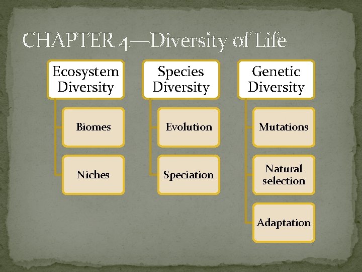 Objective Understand biodiversity Explain how biodiversity is measured