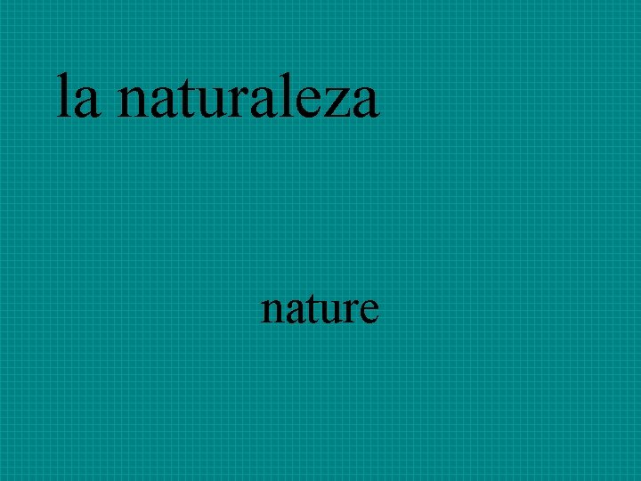 Spanish Vocabulary Our Future World el bosque forest