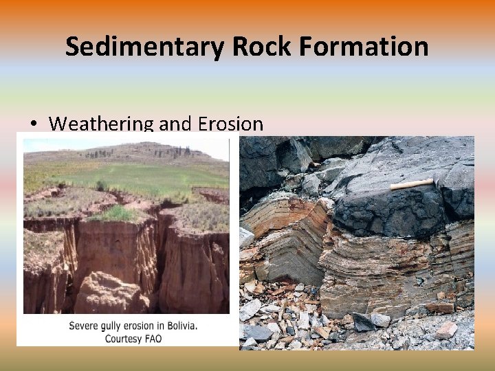 Earth Science Notes SEDIMENTARY ROCKS Objectives I can