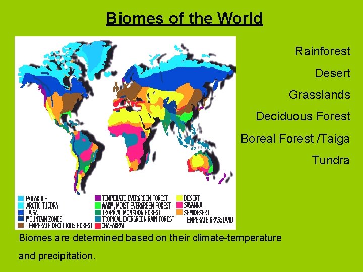 Ecosystems Review Biomes of the World Rainforest Desert