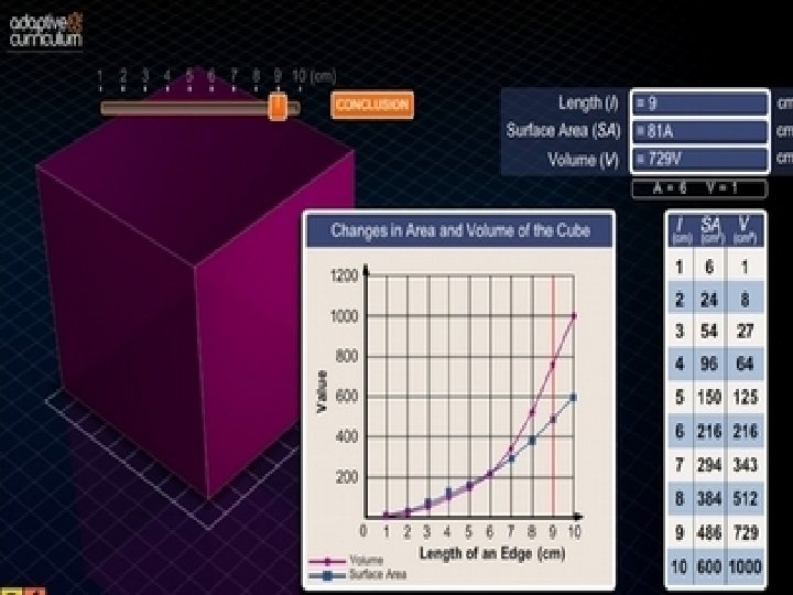 Cell Size Lab Procedure 1 Sit in your