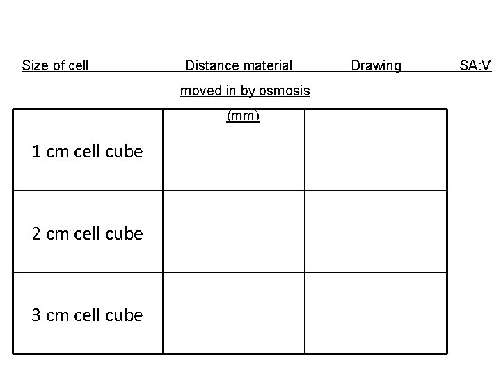 Cell Size Lab Procedure 1 Sit in your