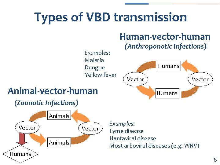 Module 8 Vectorborne diseases climate change Key messages