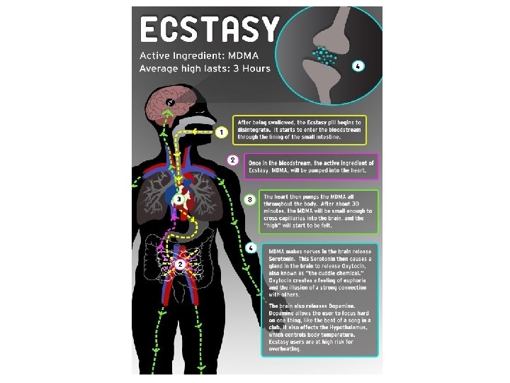 Ecstasy MDMA History Ecstasy was originally developed by