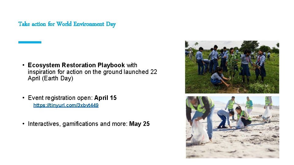 United Nations Decade on Ecosystem Restoration Opportunities Background