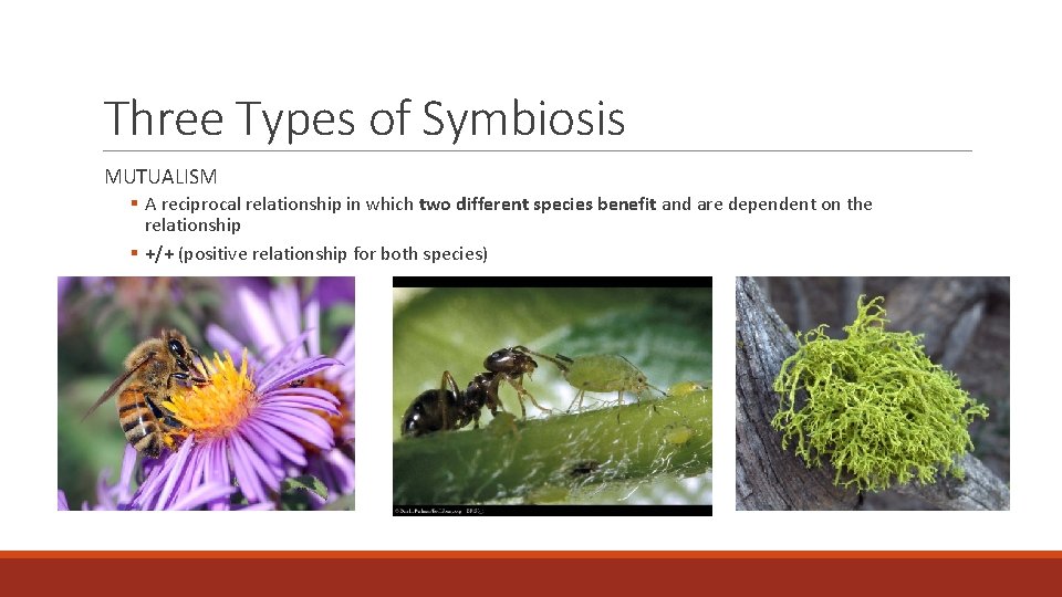 October 20 HOMEWORK CHECK Ecology SYMBIOSIS Three Types