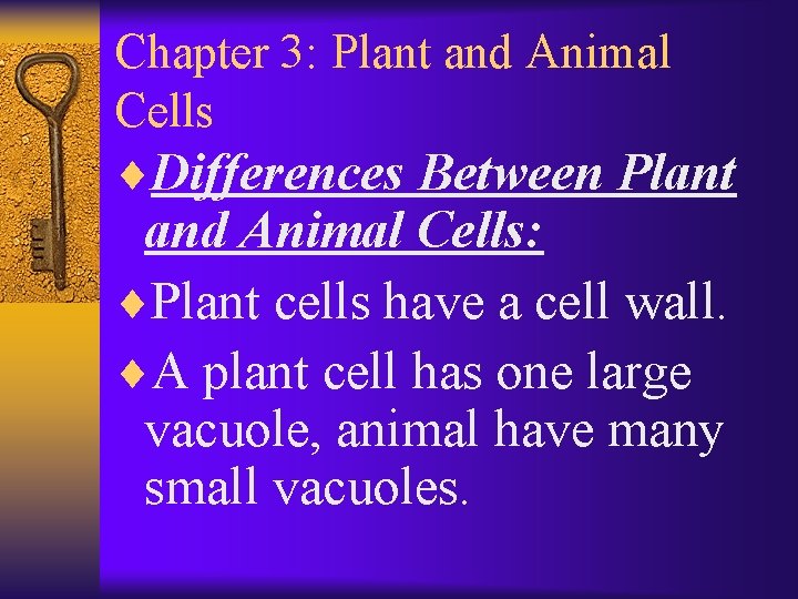 Chapter 3 Plant and Animal Cells By Mr