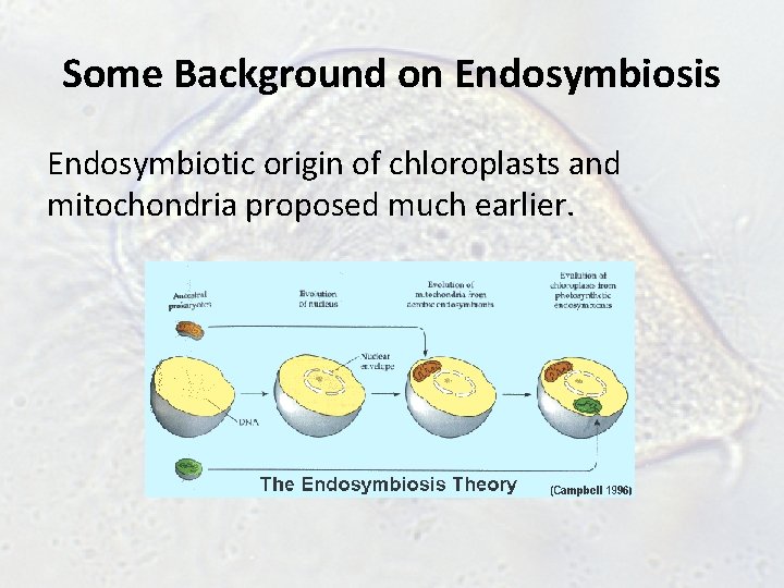 The Third International Colloquium on Endocytobiology June 10