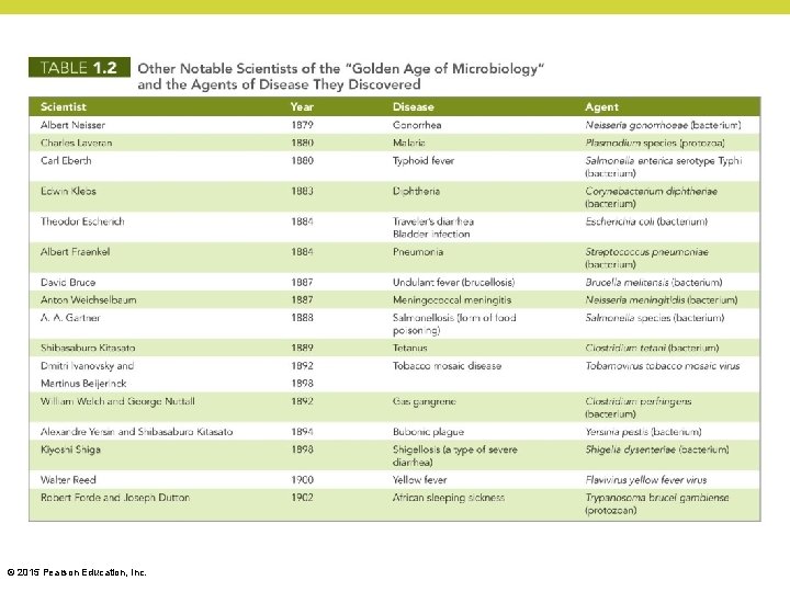 Chapter 1 A Brief History of Microbiology 2015