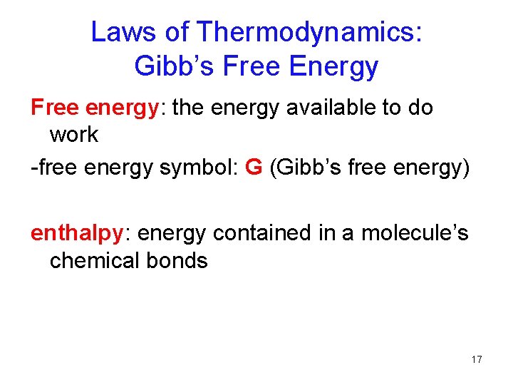 Unit 2 Metabolic Processes Unit Questions 1 What