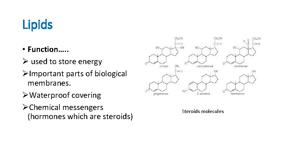 Biology Lesson Overview Topic Macromolecules Learning target I