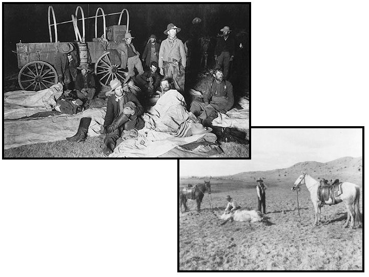 Cowboys There were 5 million cattle in Texas