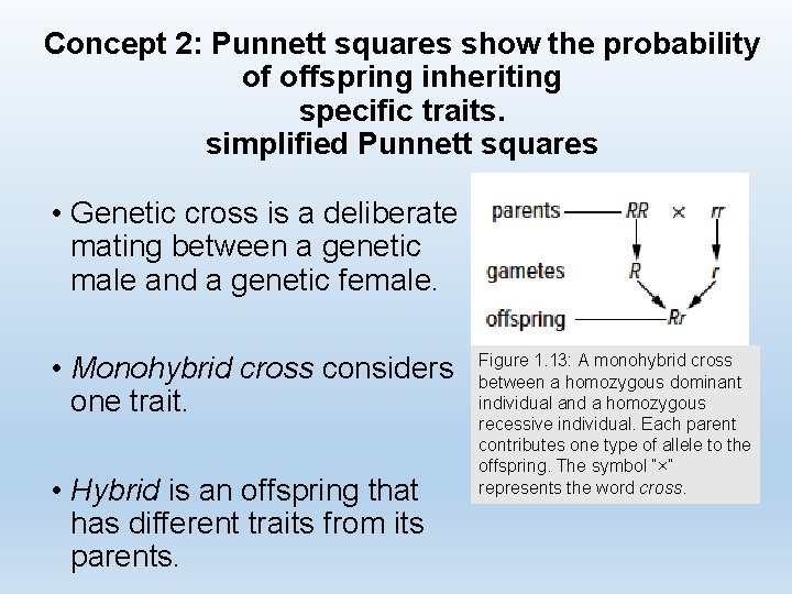 BC Science Connections 10 Unit 1 DNA is