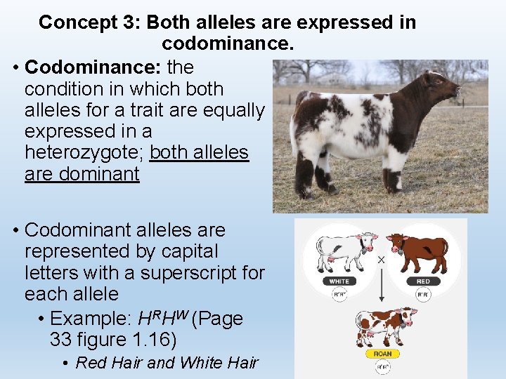 BC Science Connections 10 Unit 1 DNA is