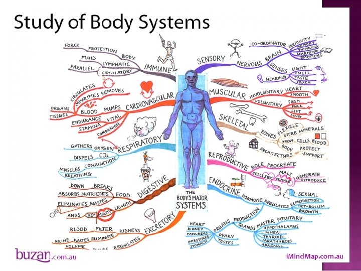 Help keep your body tissues healthy and you