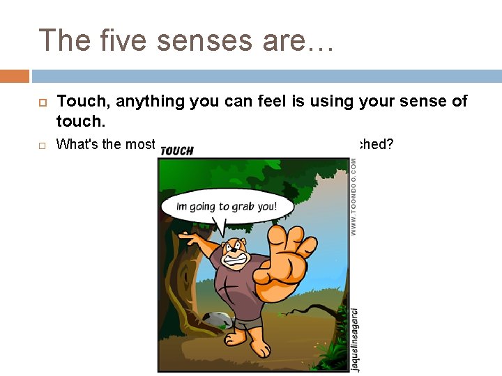 THE FIVE SENSES Kindergarten Standard 4 a Observe
