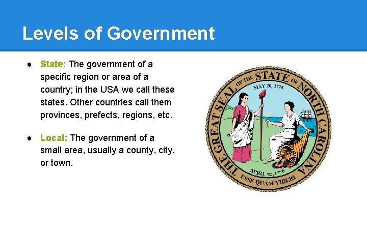 The Basics of Government levels branches types and