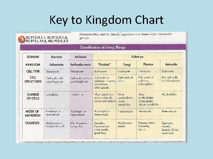 Characteristics of Domains Kingdoms Objective Distinguish between each
