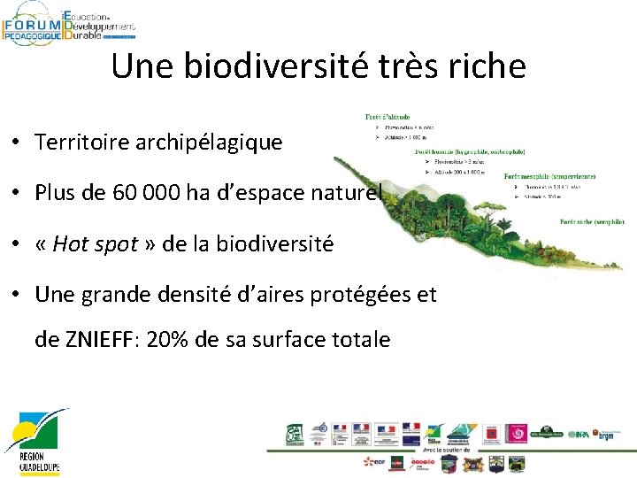 Quelle stratgie rgionale pour la biodiversit en Guadeloupe