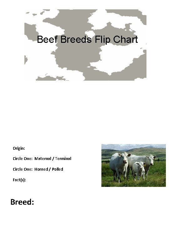 Beef Breeds Flip Chart Use the following pictures