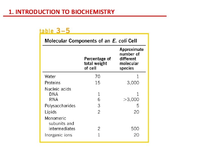 UNIT 1 Introduction The Basis of Biochemistry OUTLINE