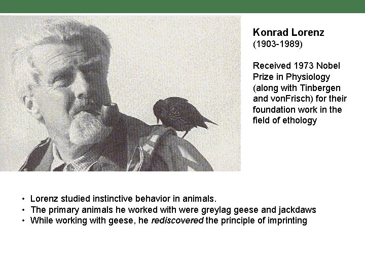 Biology 484 Ethology Chapter 1 An Evolutionary Approach