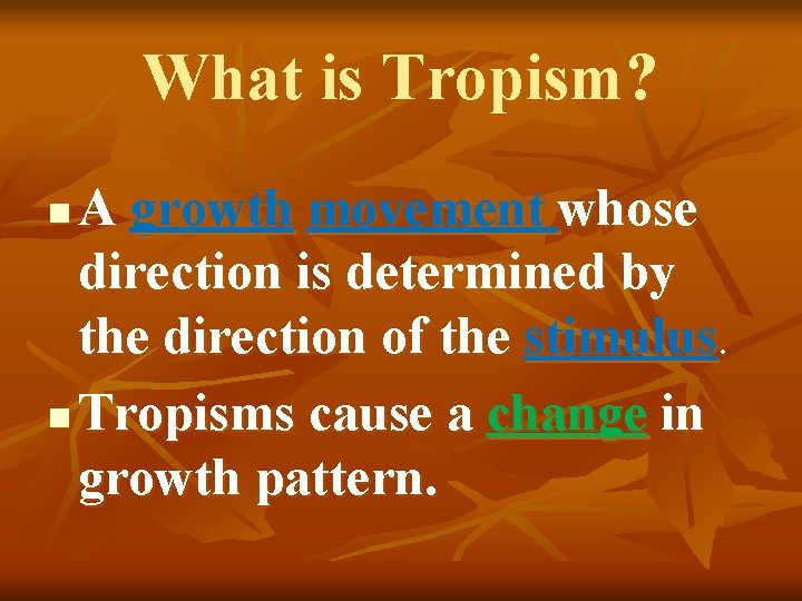 PLANT TROPISM Objectives n n n Identify tropisms