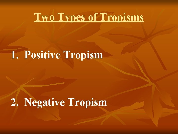 PLANT TROPISM Objectives n n n Identify tropisms