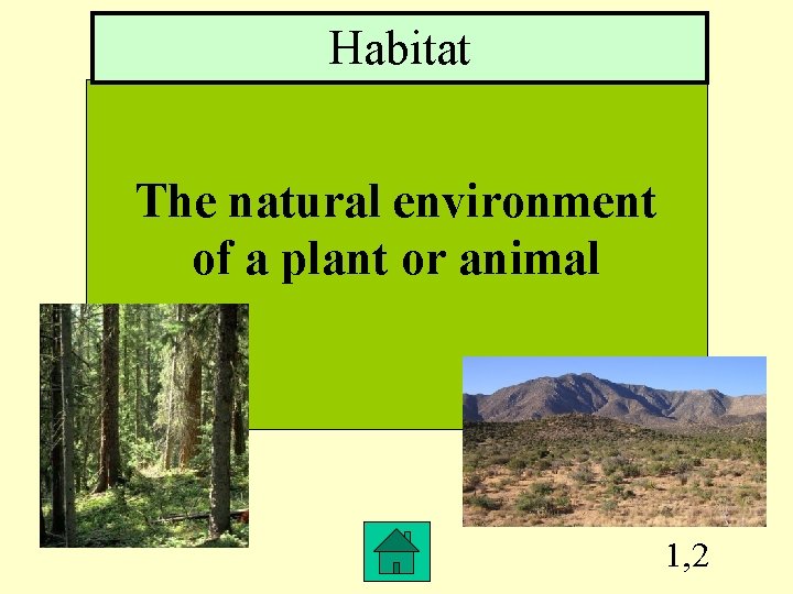 Hosted by Mrs Porter Photosynthesis Who am I