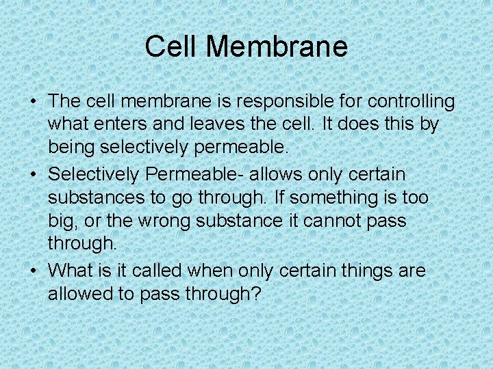 The Cell Membrane Gateway to the cell Cell