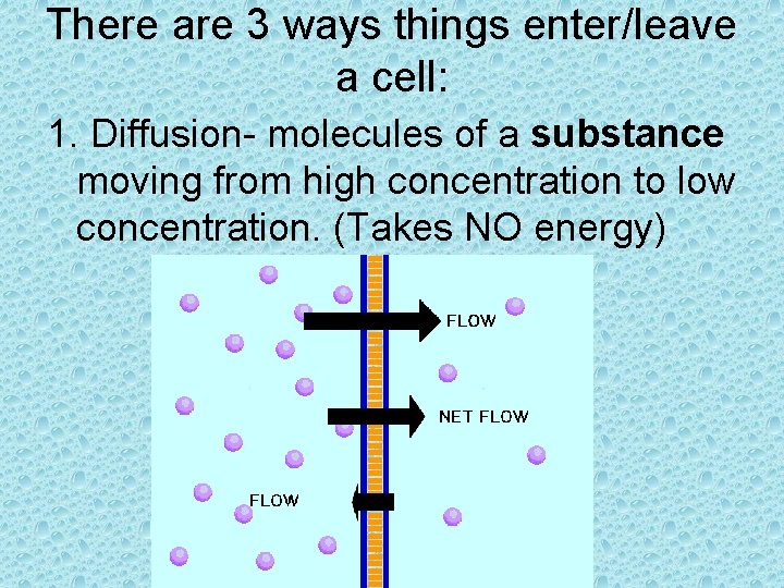 The Cell Membrane Gateway to the cell Cell