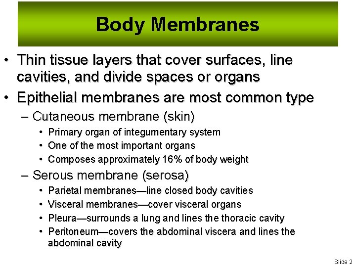 Essentials of Human Anatomy Skin and Body Membranes