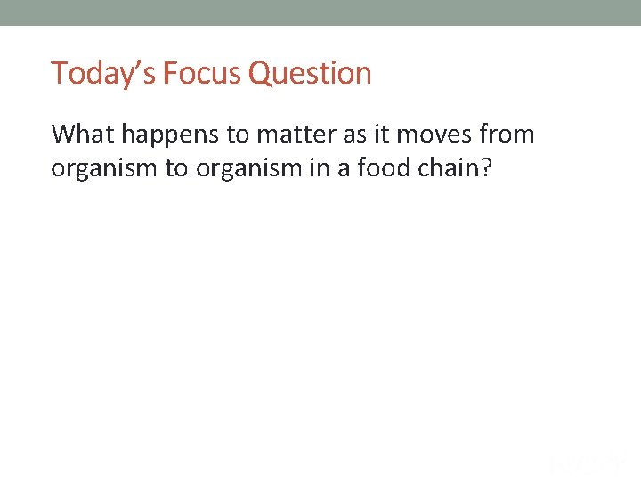 FOOD WEBS LESSON 4 A What Happens to