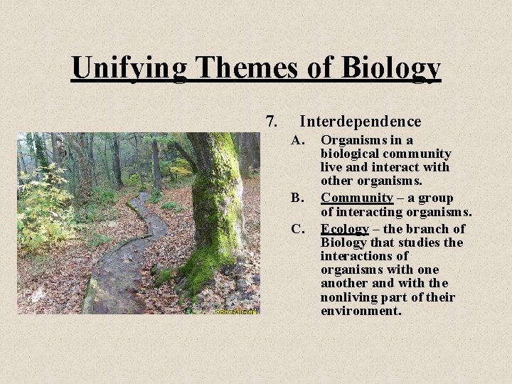 Biology and You Chapter 1 Biology Dr Steve