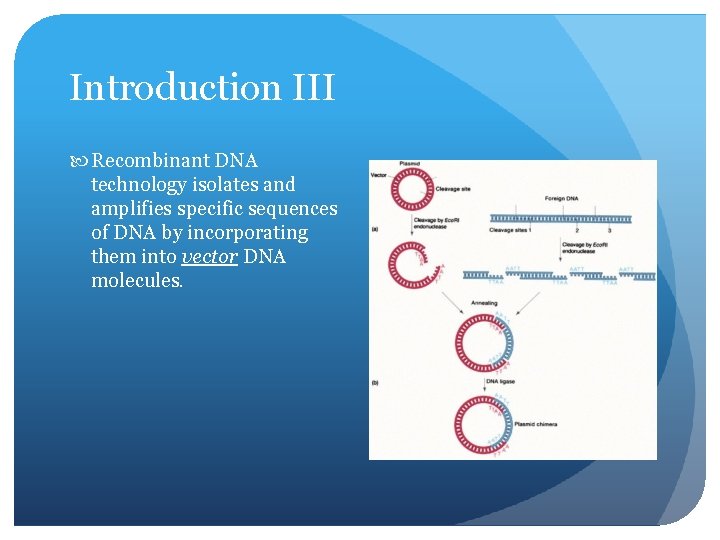 Biotechnology Packet 12 Chapter 9 Introduction Since the
