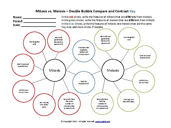 Mitosis vs Meiosis Double Bubble Compare and Contrast
