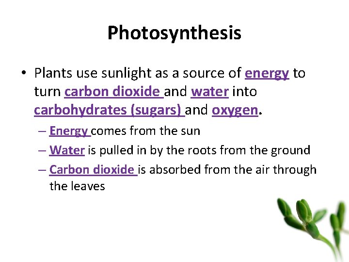 Todays lesson Introduction to photosynthesis Photosynthesis 1 lab