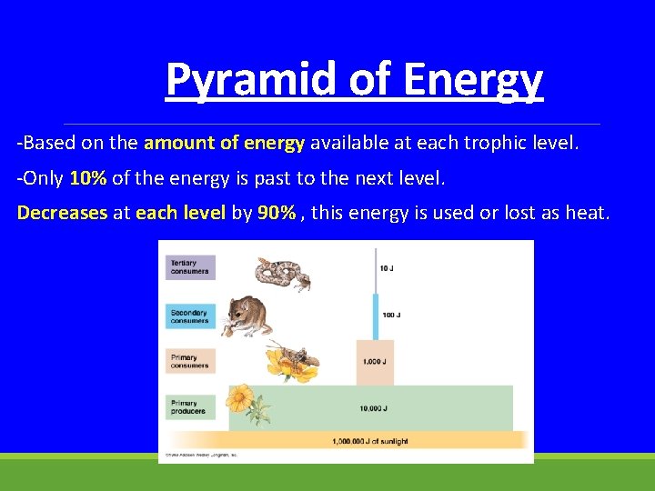 NUTRITION AND ENERGY FLOW HOW ORGANISMS OBTAIN ENERGY