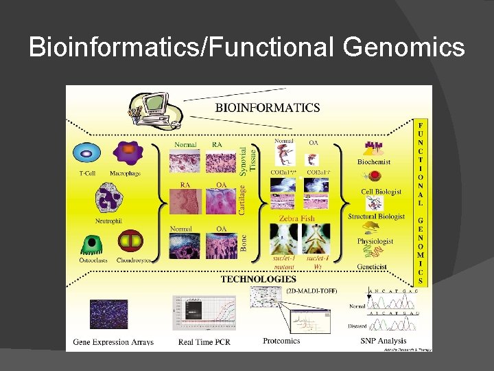 Microbial Functional Genomics Chapter 1 Genomics Toward A