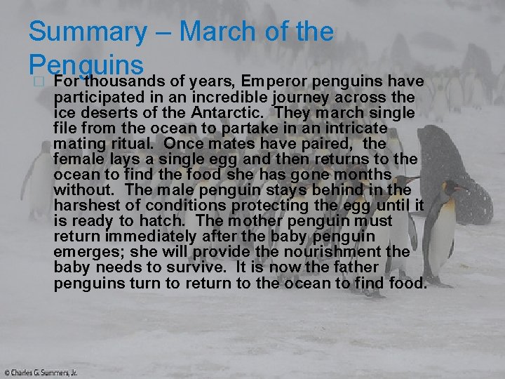 MARCH OF THE PENGUINS Released 2005 Produced by