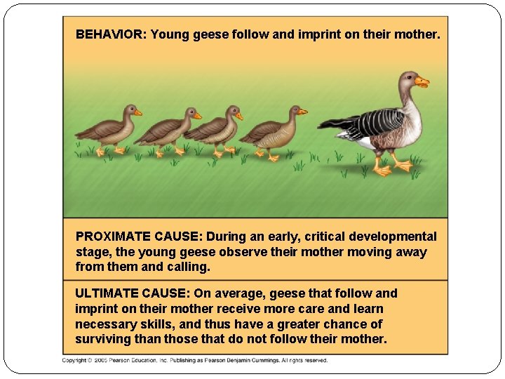 Ch 50 Review Names the biomes labeled af