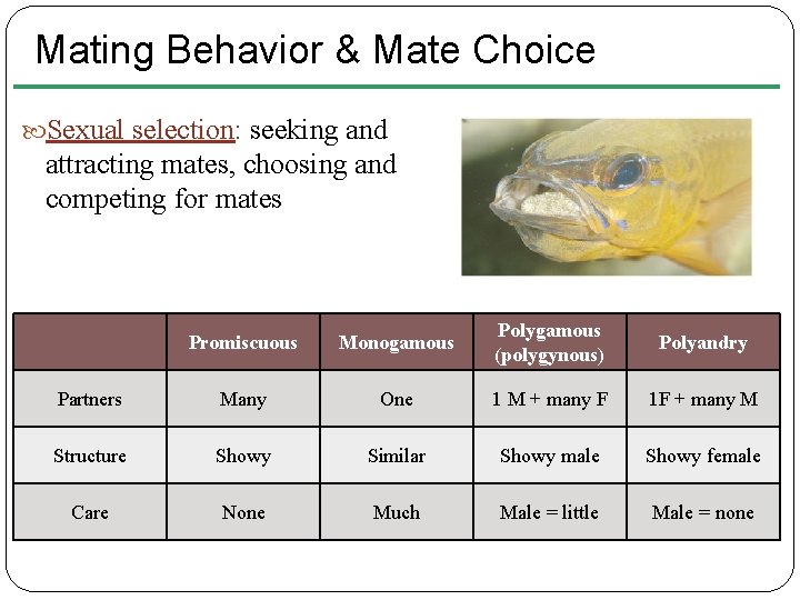 Ch 50 Review Names the biomes labeled af