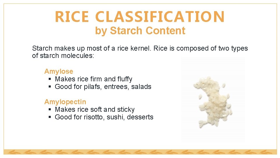 ALL ABOUT RICE Science Types Nutrition RICE CLASSIFICATION
