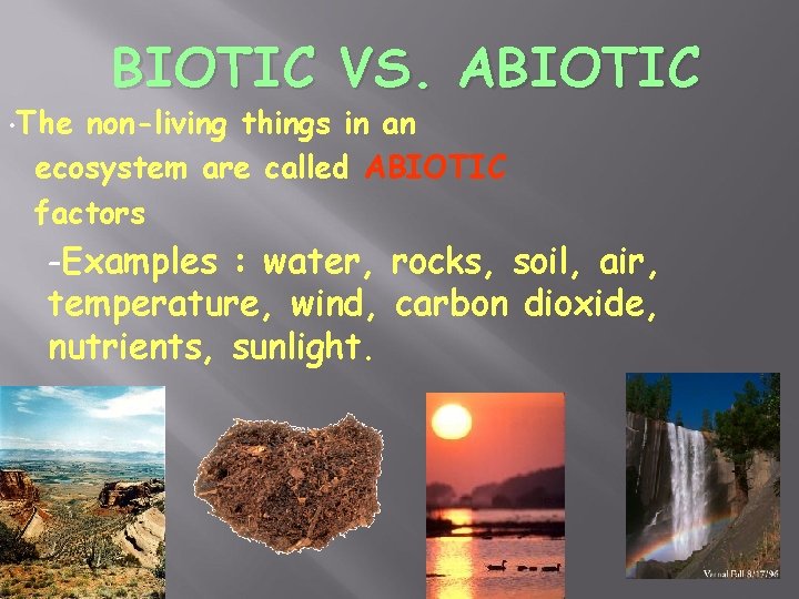 Biotic VS Abiotic The living parts of an