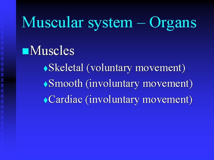 Human Anatomy An overview of the human body