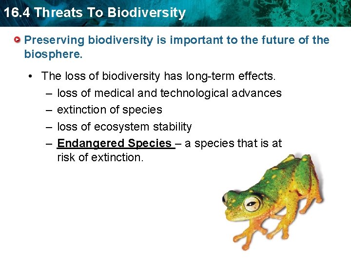 16 4 Threats To Biodiversity KEY CONCEPT The