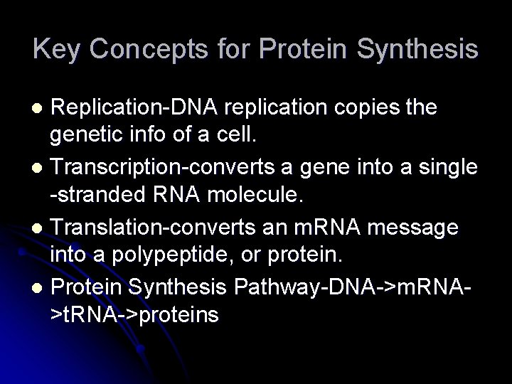 Benchmark I Review Protein Synthesis and The Cell